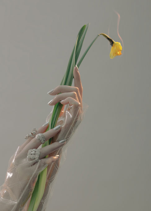 The Ingenue Magazine | Patricia McMahon Photography